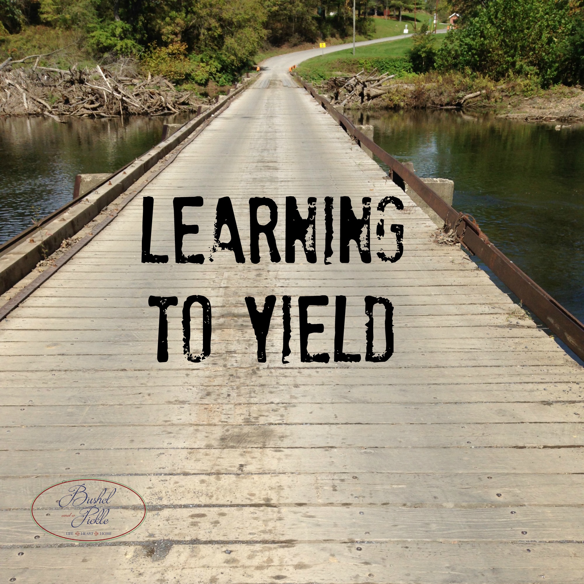 Sabbath Words # 4 Learning to Yield - Bushel & a Pickle
