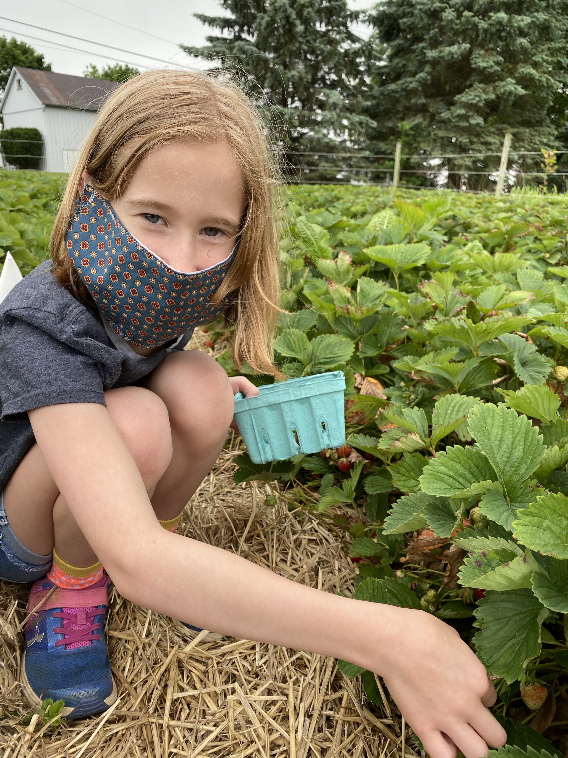 Summer Strawberry Fun - Bushel & a Pickle