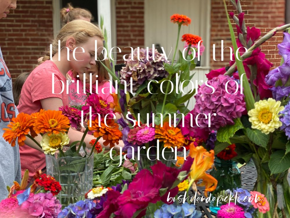 brilliant colors of freshly cut flowers from our gardens - Bushel & a ...