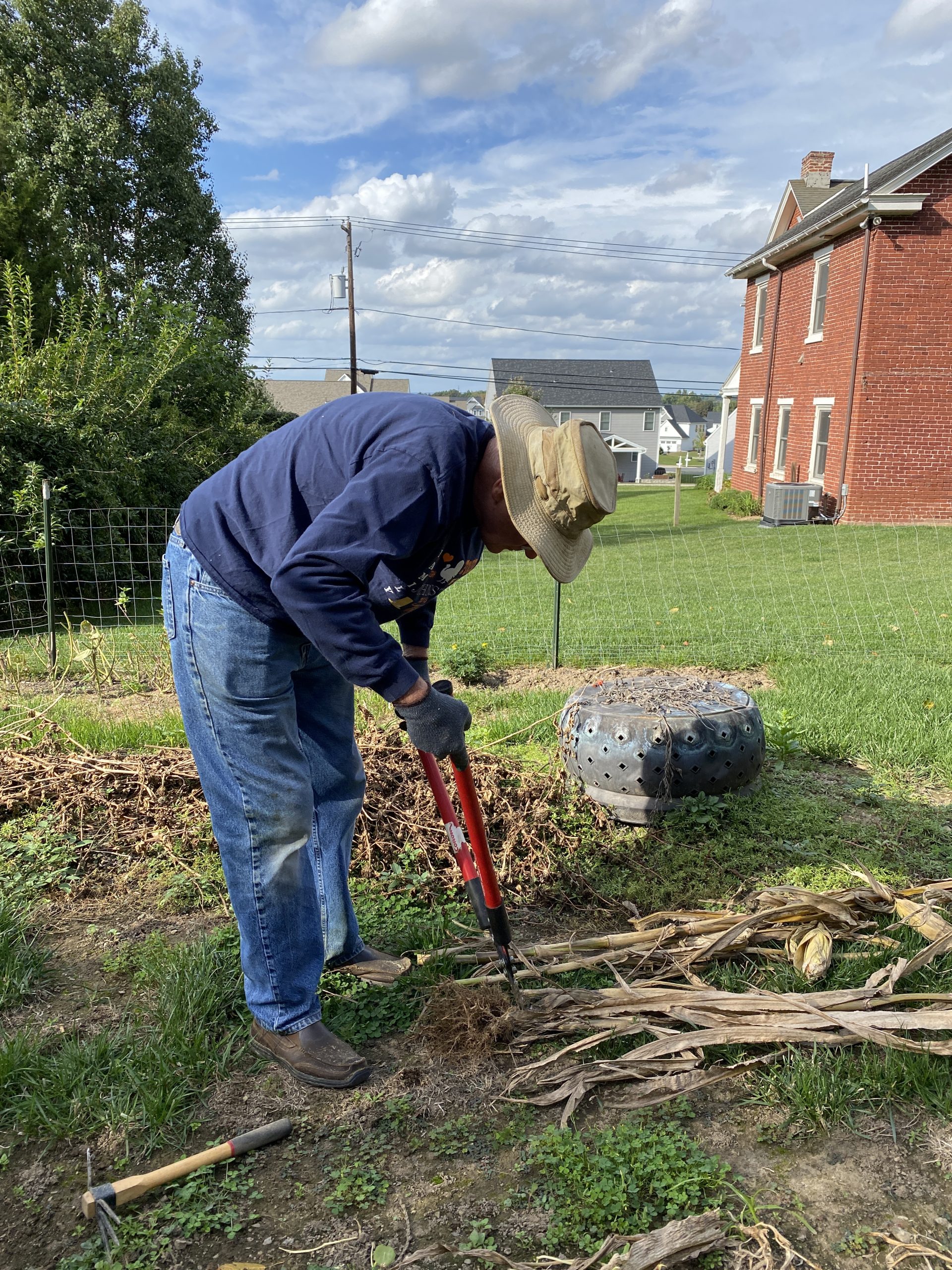 Cornstalks and Ribbon - Bushel & a Pickle