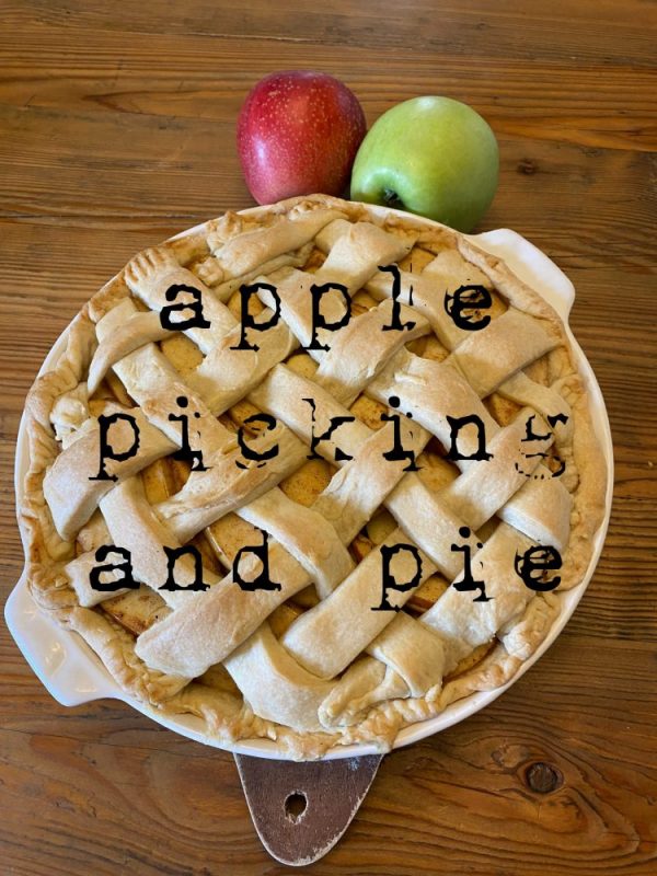 Meg’s Baking Apple Pie Just For Us! - Bushel & a Pickle